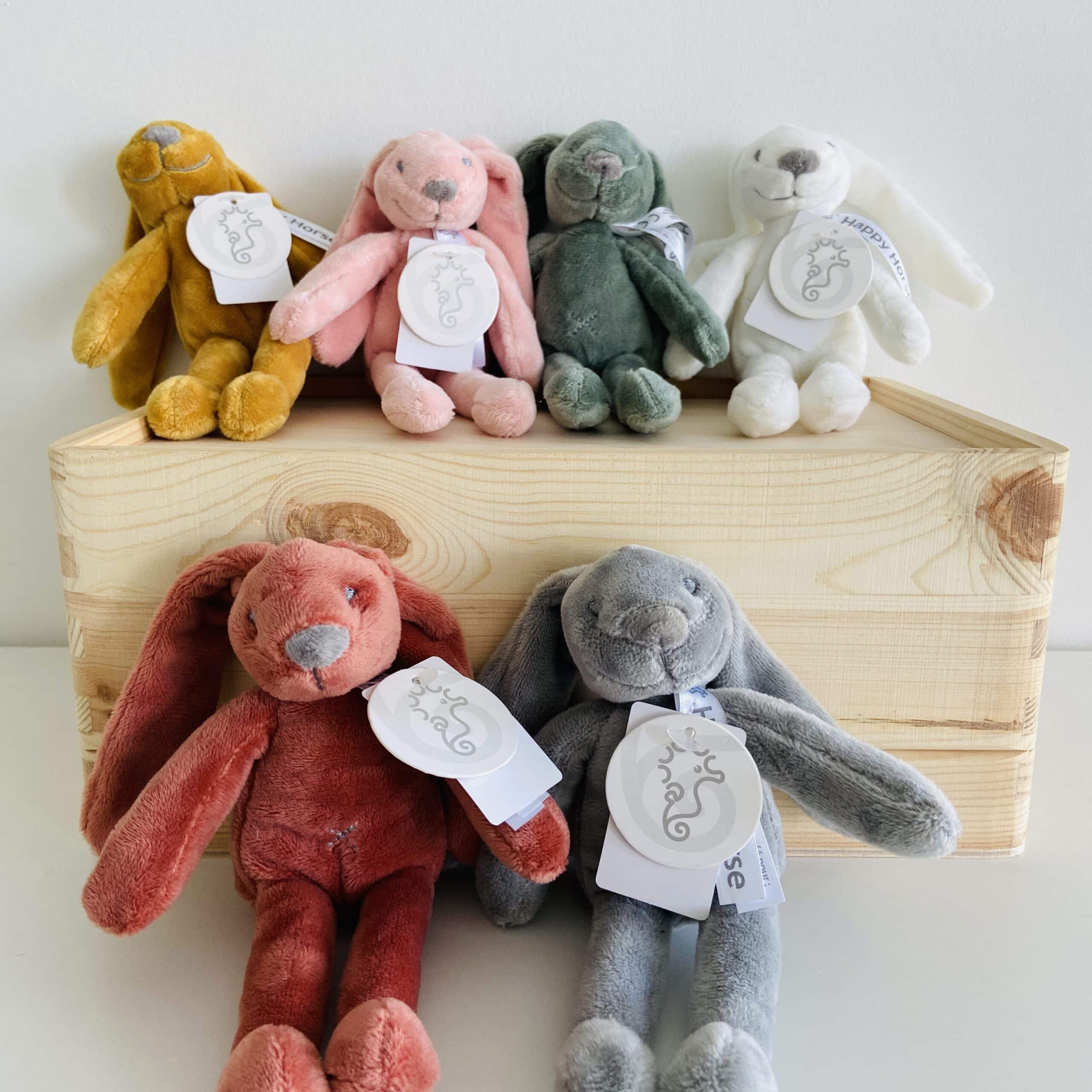 Rabbit Richie mini's van Happy Horse - liefsvanlauren.nl